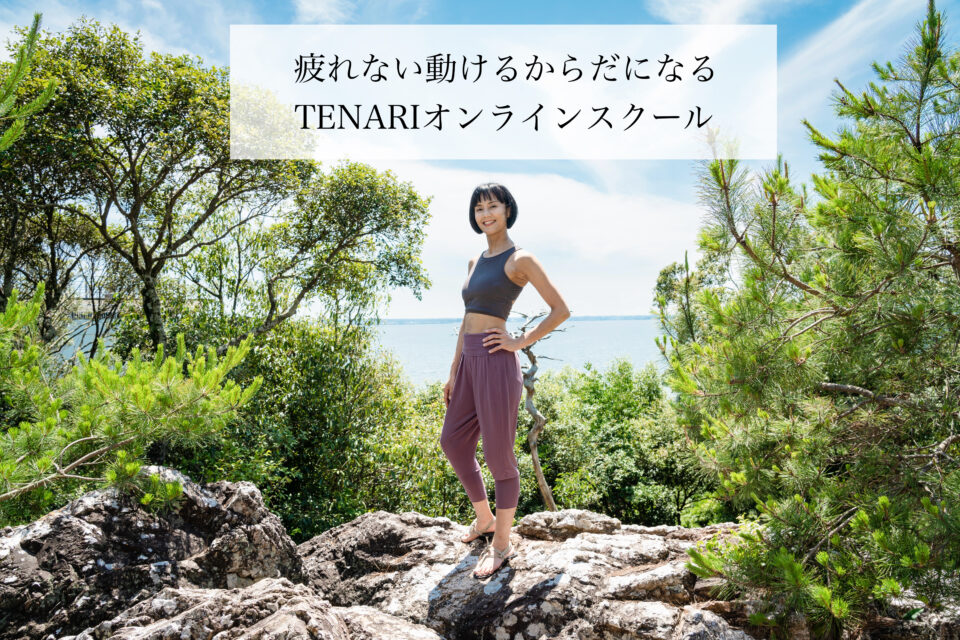 募集開始！【限定10名】TENARIオンラインスクール3週間集中プログラム『あなただけのパーソナルセッションプレゼント』 - TENARI